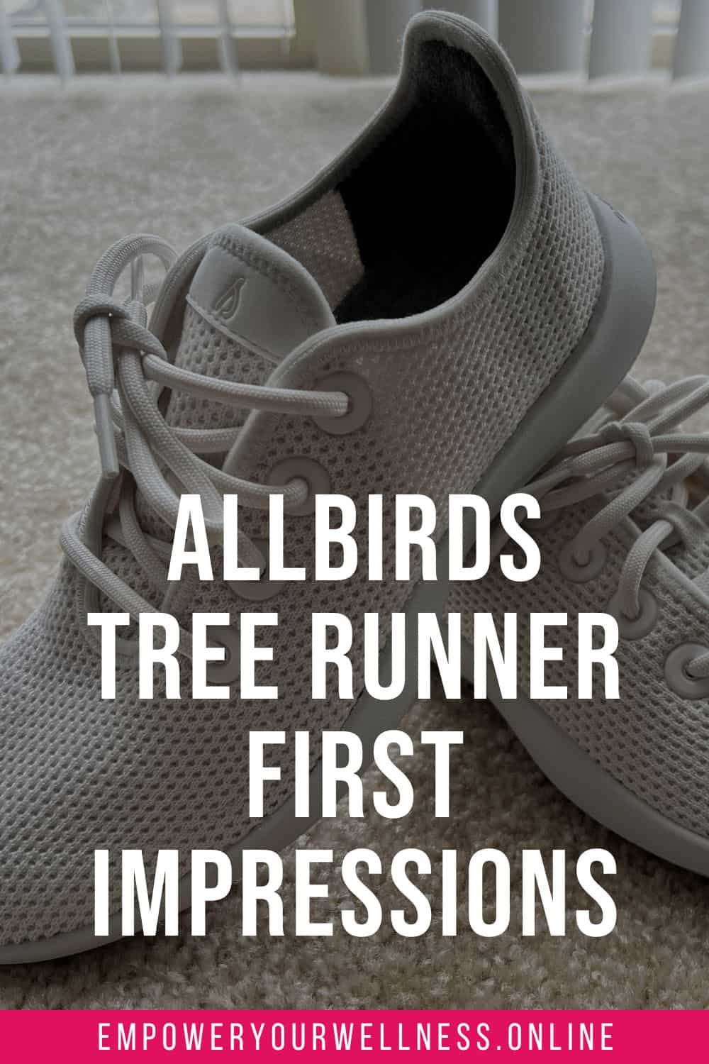 Allbirds Tree Runner Review (First Impressions) - EMPOWER YOURWELLNESS